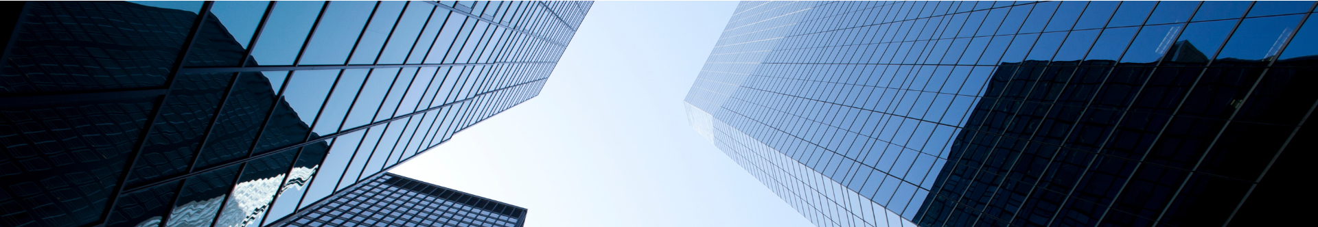 Denver IT and Tech Recruiters - Redfish Technology